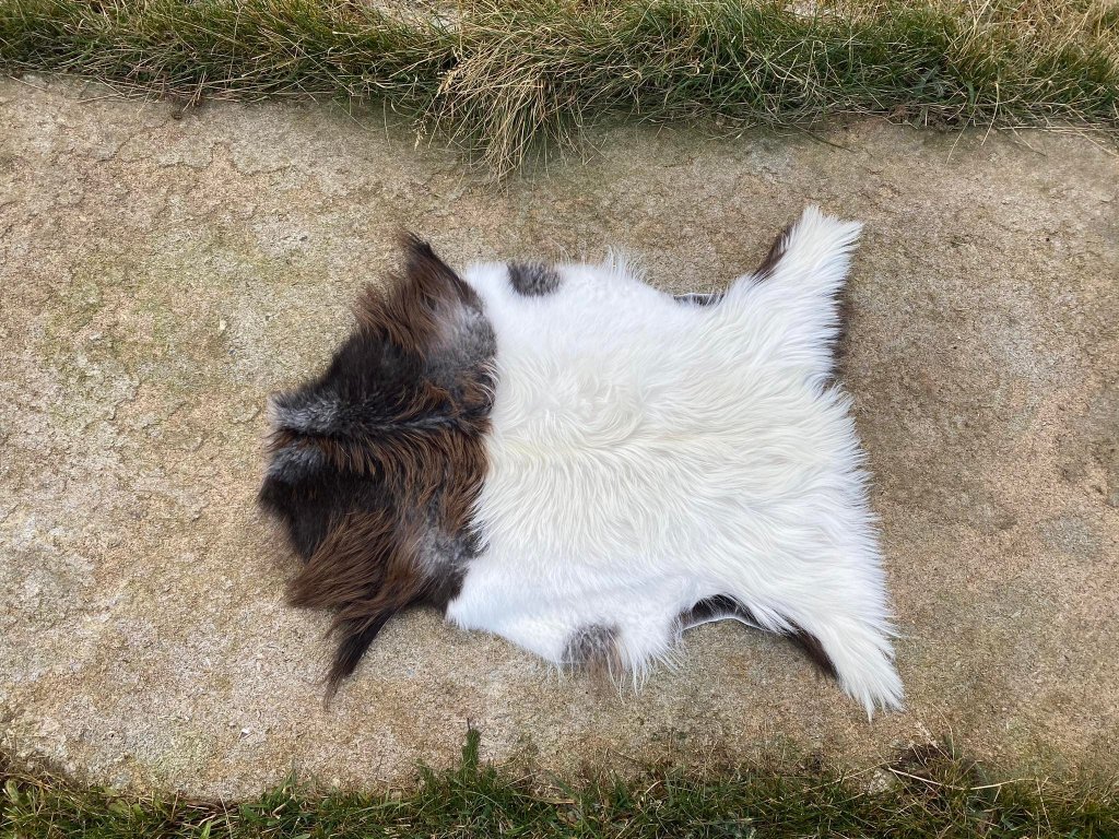 Staka no 6 svarhöttótt m magabletti (2019-1) | Rúnalist